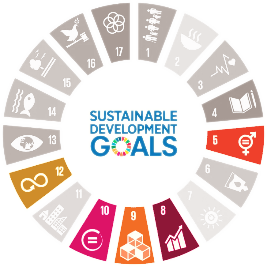 SDG Value Chain | United Nations Development Programme
