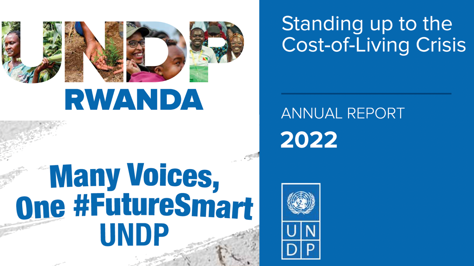 Publications | United Nations Development Programme