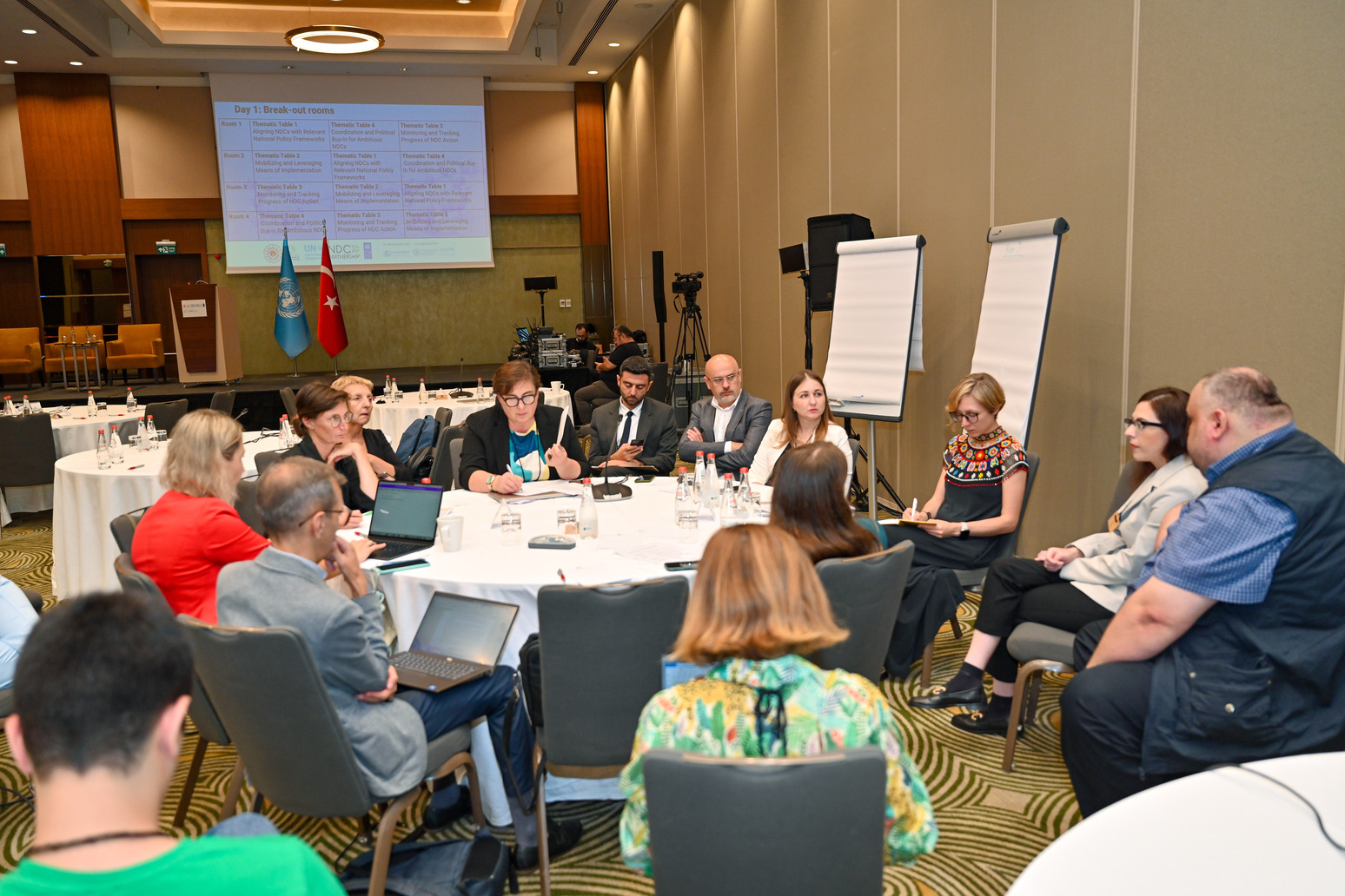 Countries in Eurasia come together to boost climate ambition at NDCs 3. ...