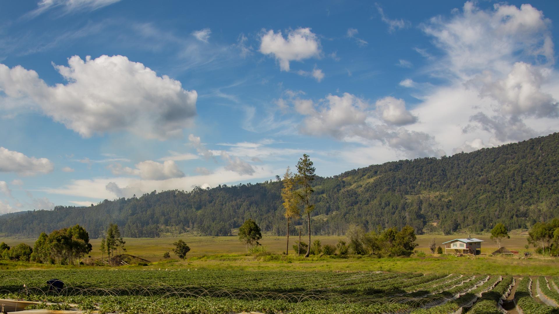 Strengthening Integrated Sustainable Landscape Management in Enga ...