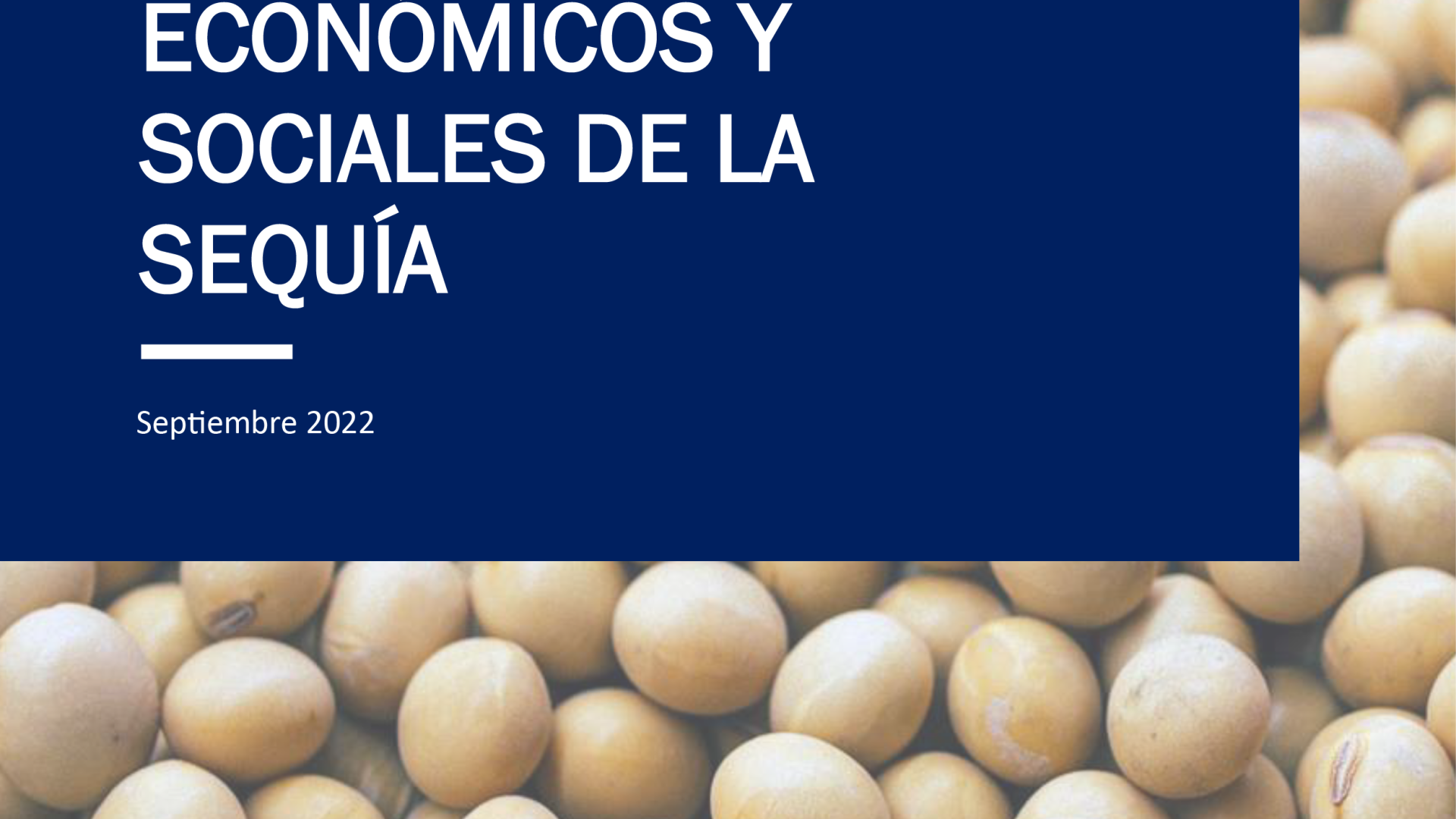 Paraguay: Impactos económicos y sociales de la sequía | Programa De Las ...