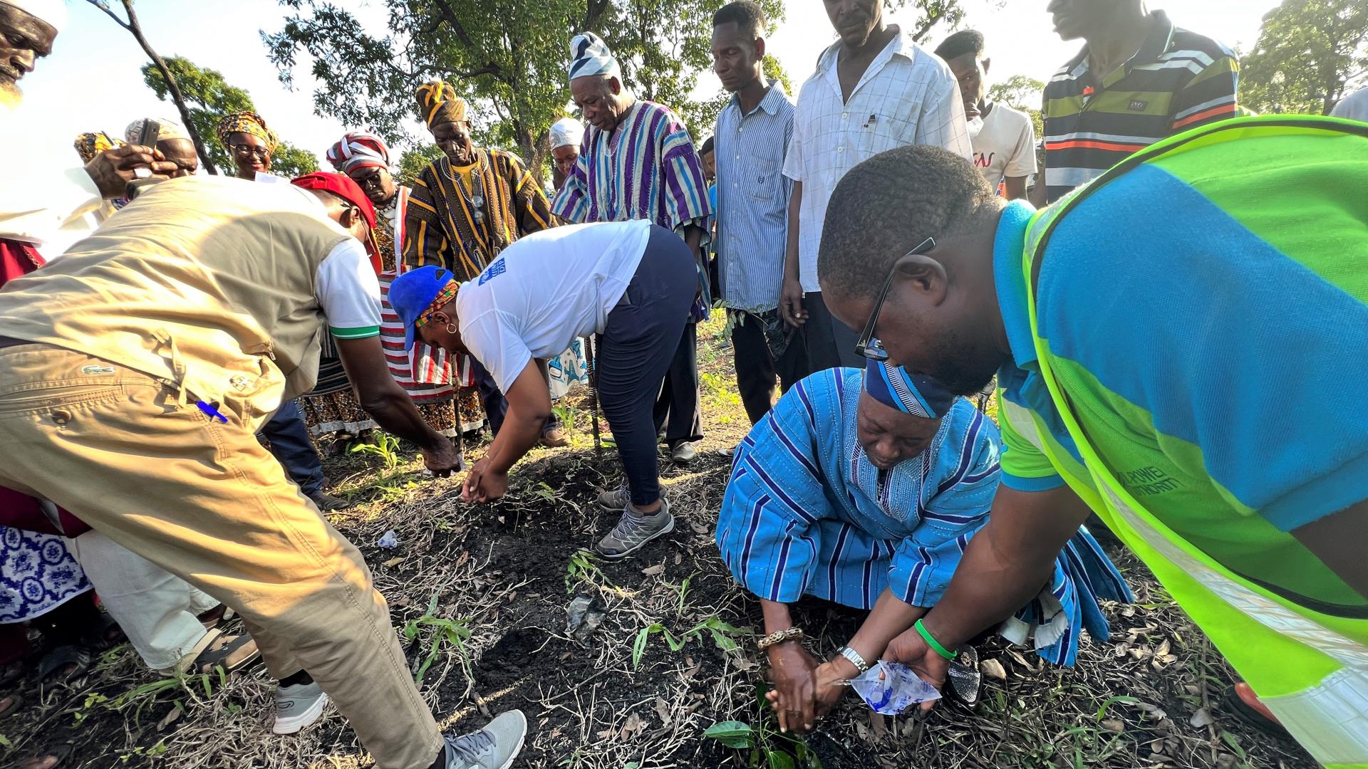 UNDP launch $1 million OneTreePlanted programme to restore the Black ...