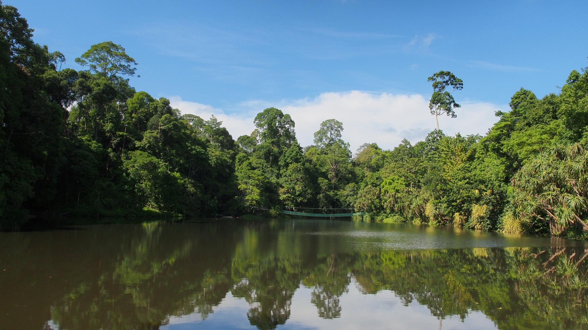[Public Disclosure] FOLUR Malaysia Environmental and Social Framework ...
