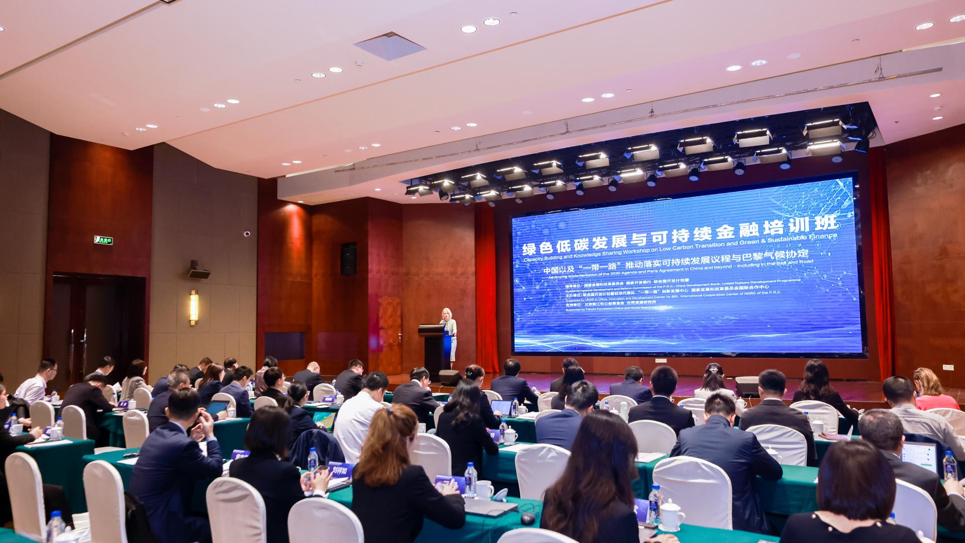 UNDP cohosts Capacity Building and Knowledge Sharing Workshop on Low ...