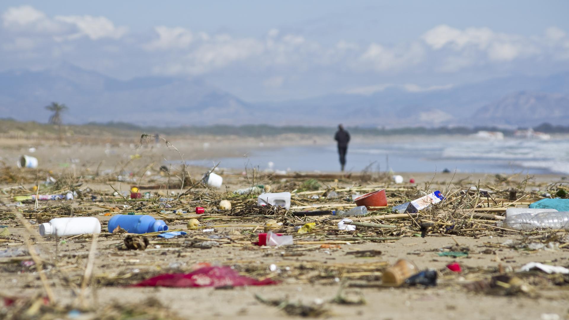 Celebrating invisible, indivisible nature | United Nations Development ...