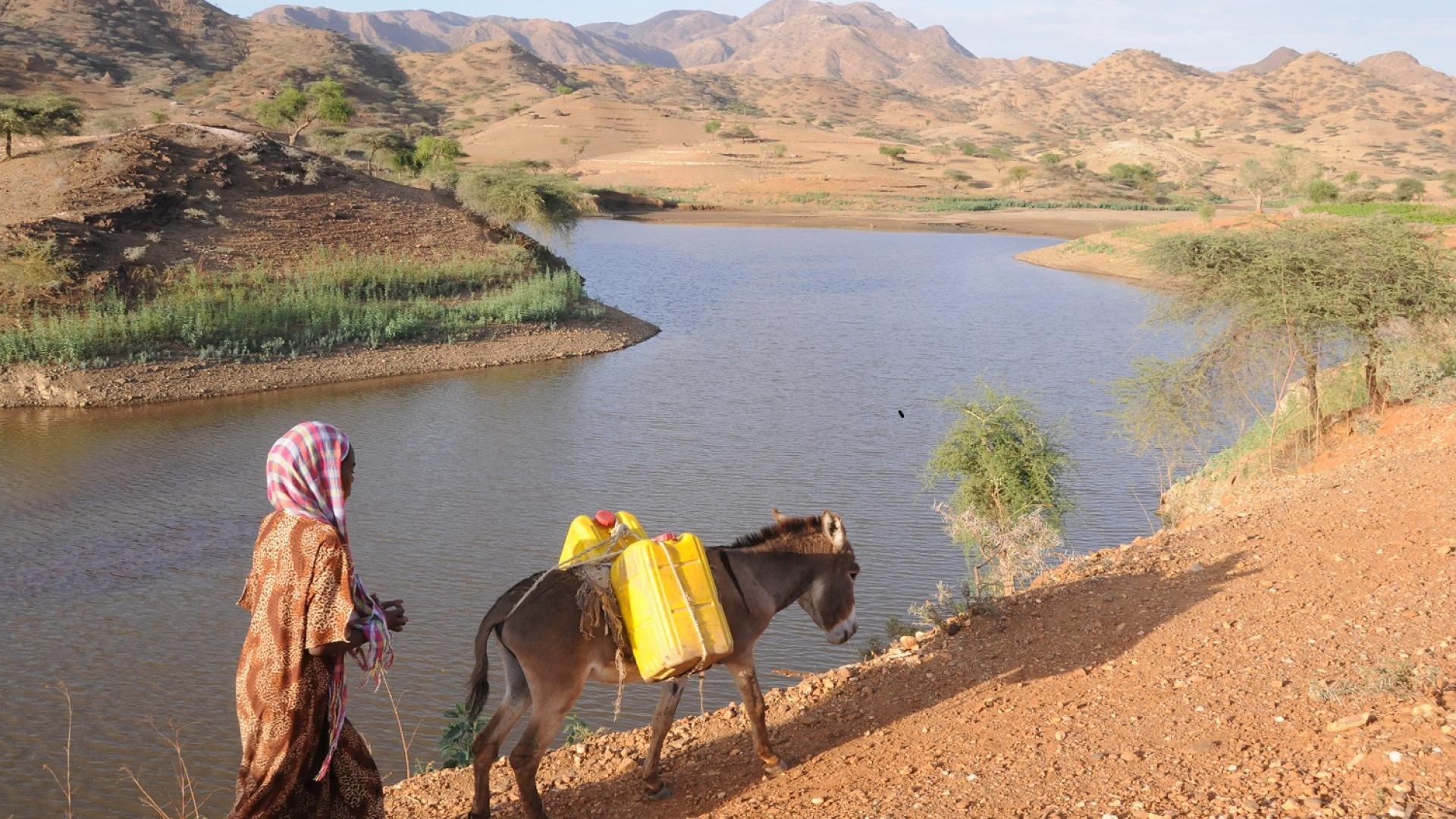 Oases of Eritrea: Nature-based solutions for development | United ...