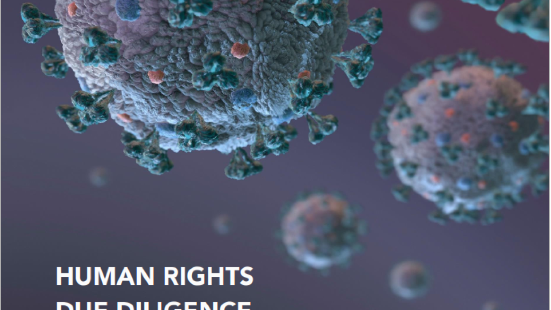 Human Rights Due Diligence and COVID-19: Rapid Self-Assessment for Business | United Nations ...