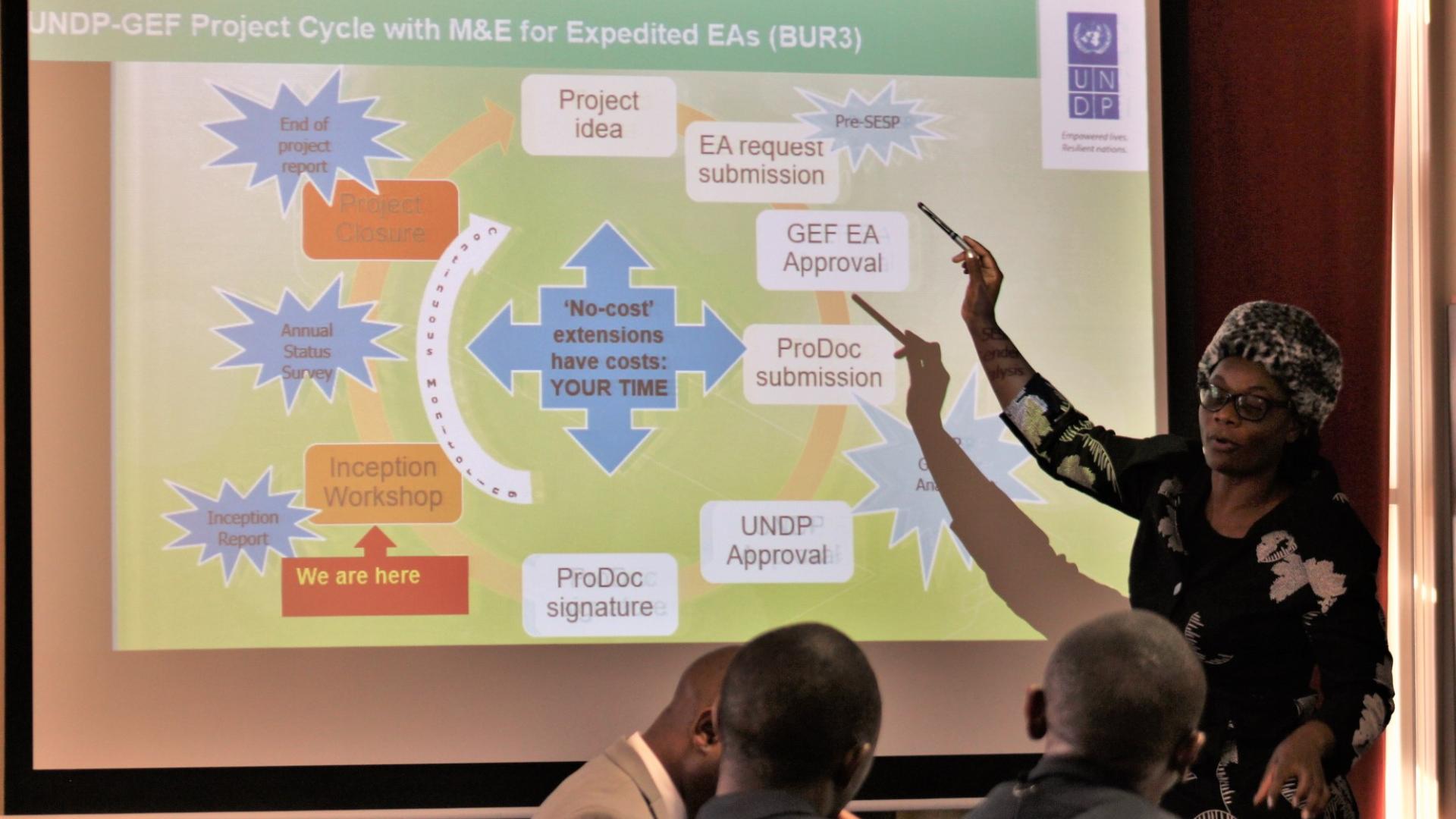 Biennial Update Report (BUR3) Inception workshop | United Nations Development Programme