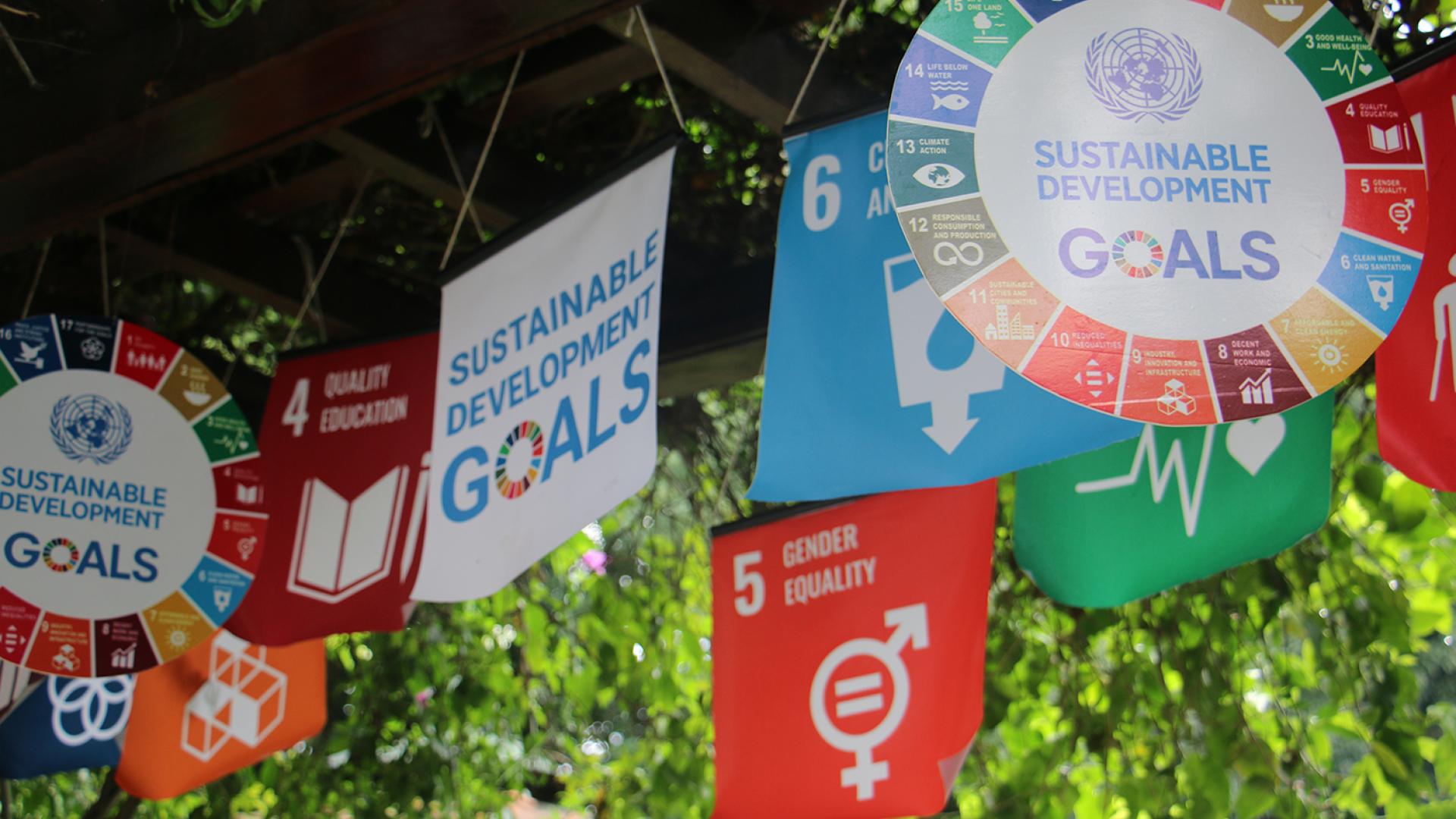Green Gossip: #ClimateAction | United Nations Development Programme
