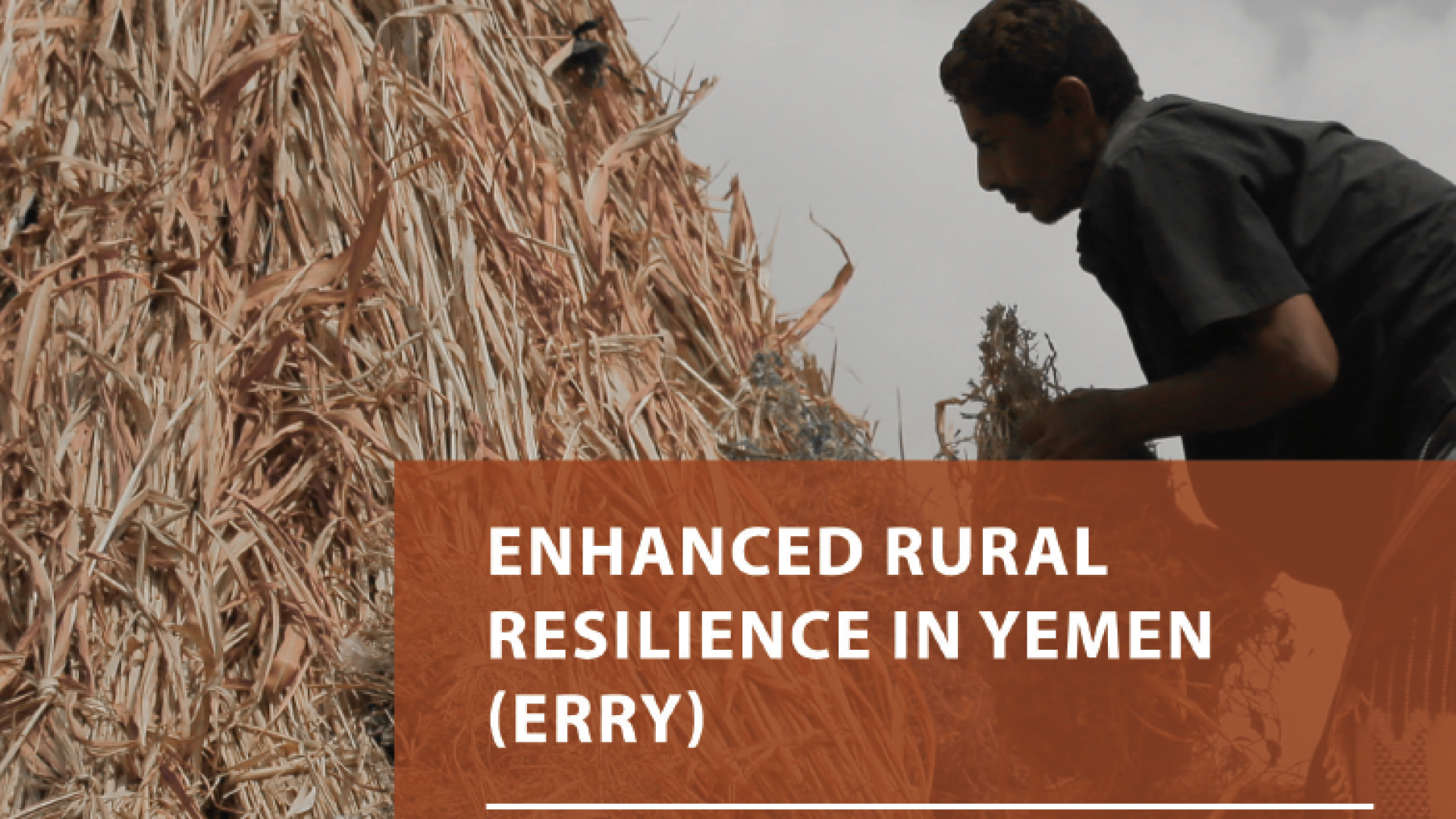 Livelihood Intervention Impact | United Nations Development Programme