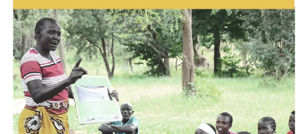 UNDP Africa Launches Innovative Gender Seal Training | United Nations ...