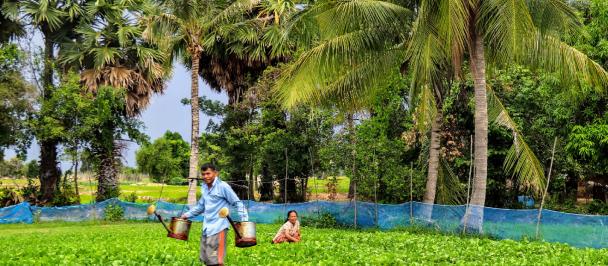 Climate Change, Cambodia and Canals: Learn How Communities in Kampong ...