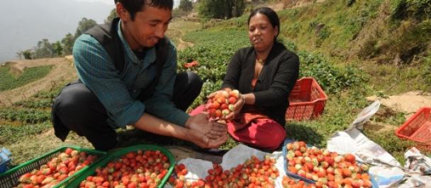 KOICA funds US $5 million to UNDP for Value Chain Development Project ...