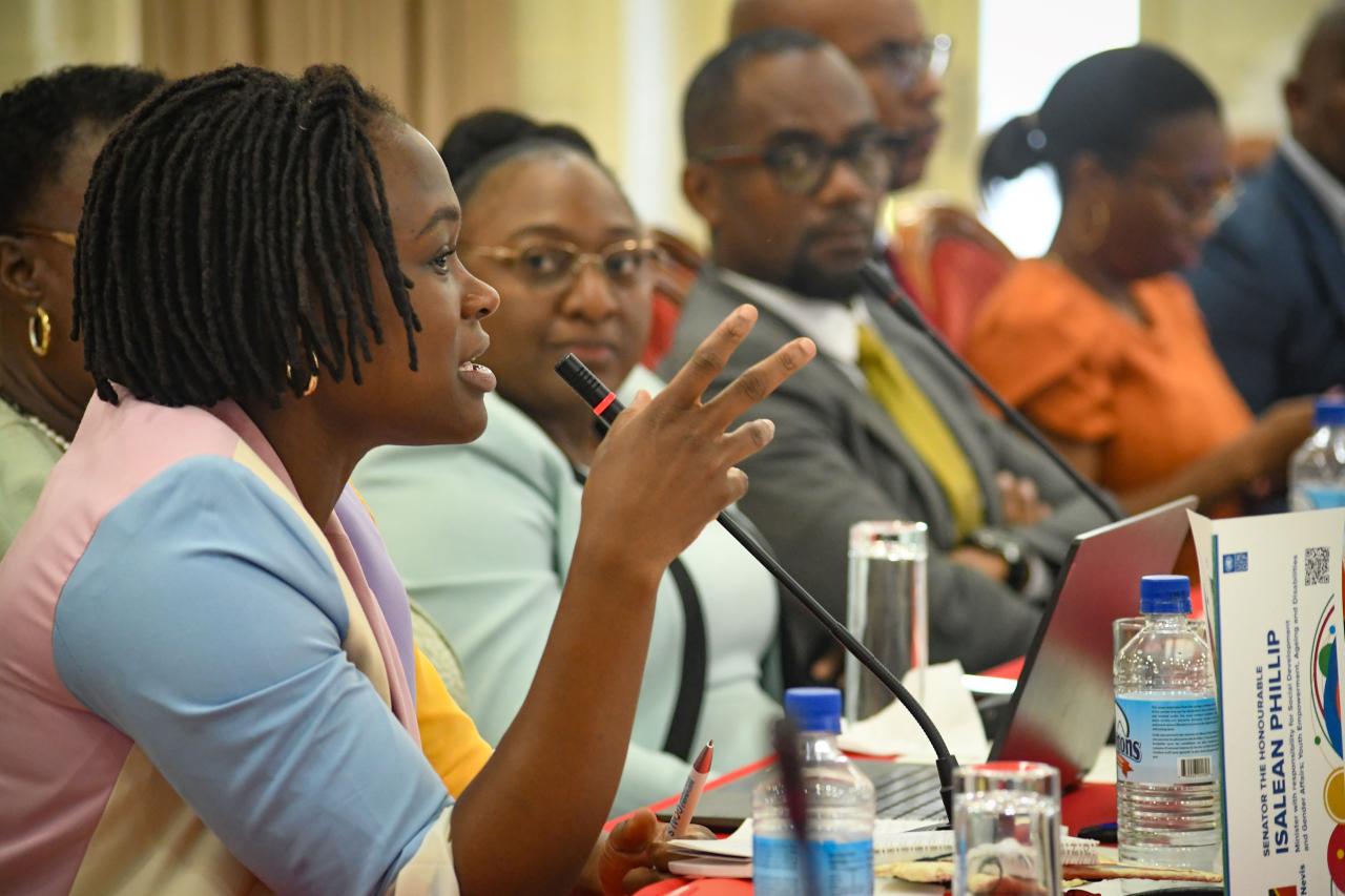 Eastern Caribbean States prepare for XVI Ministerial Forum for ...