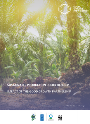 Production Policy Reform GGP Impact Brief | United Nations Development ...