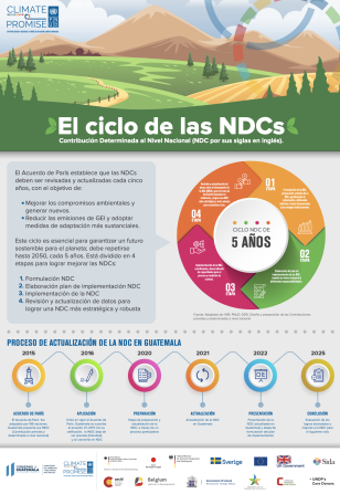 El ciclo de las NDCs | Programa De Las Naciones Unidas Para El Desarrollo