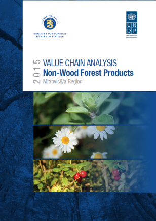 Value chain analysis - Non-Wood Forest Products | United Nations ...
