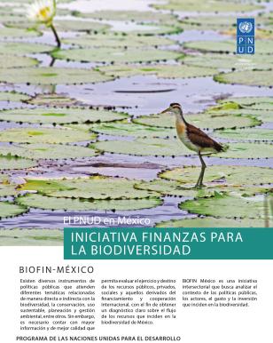 Iniciativa finanzas para la biodiversidad | Programa De Las Naciones ...