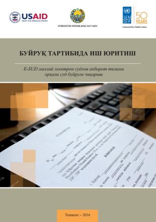 Undisputed claim proceedings: Issuing court order via E-SUD electronic ...