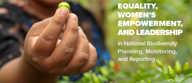 Fast Facts: Youth and Gender Equality | United Nations Development ...