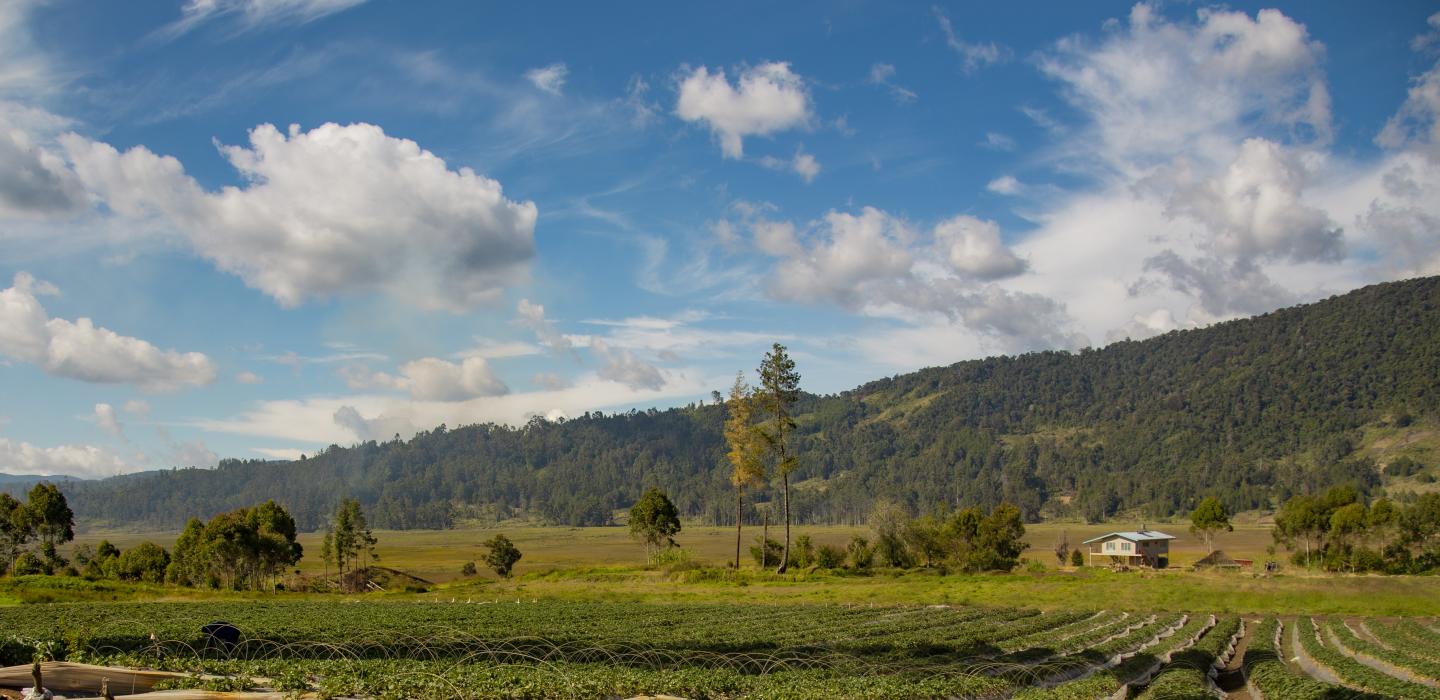 Strengthening Integrated Sustainable Landscape Management in Enga ...
