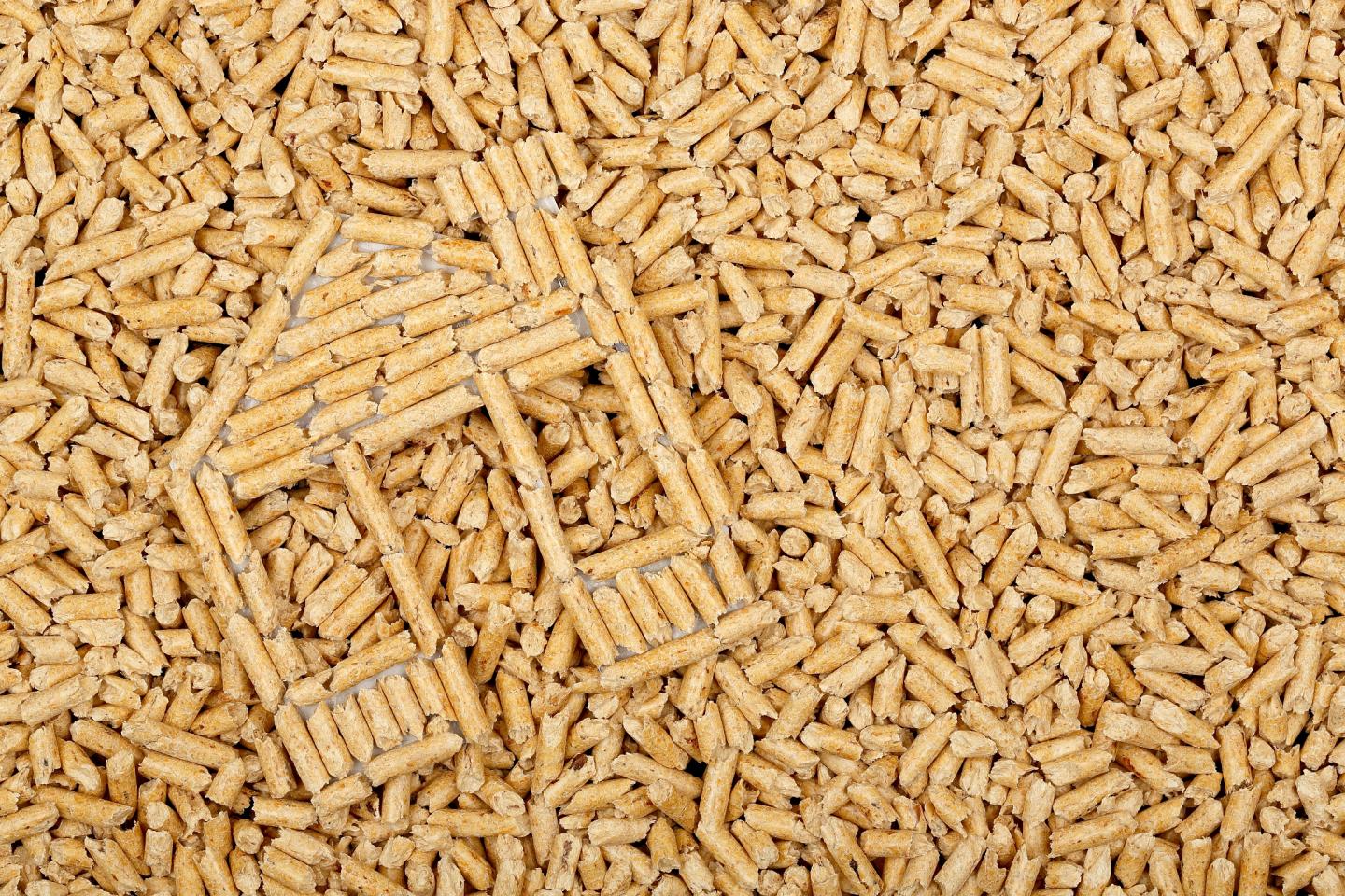 49 new biomass heating systems, including 20 solar collectors, will be ...