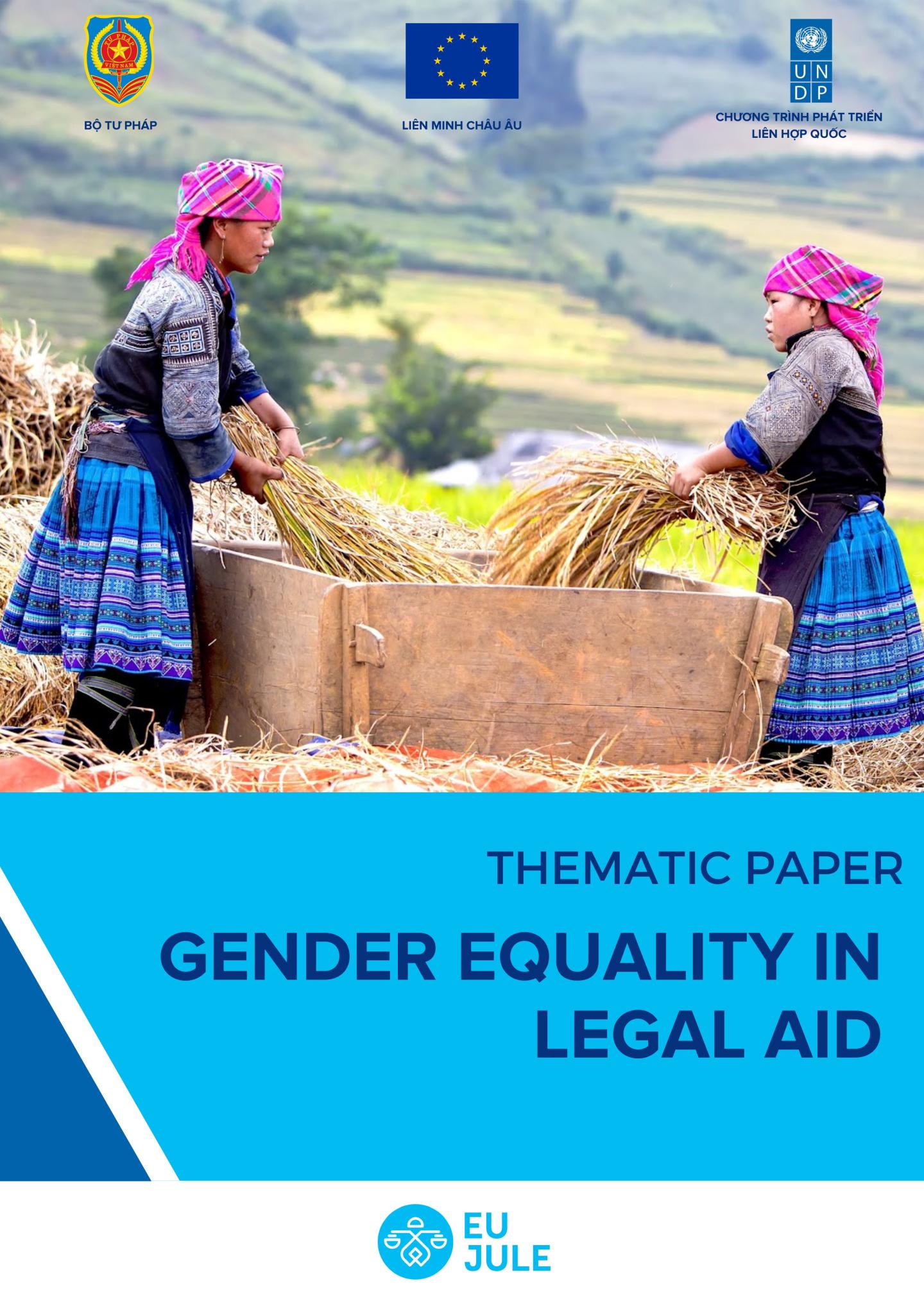 Thematic Paper: Gender Equality in Legal Aid | United Nations ...