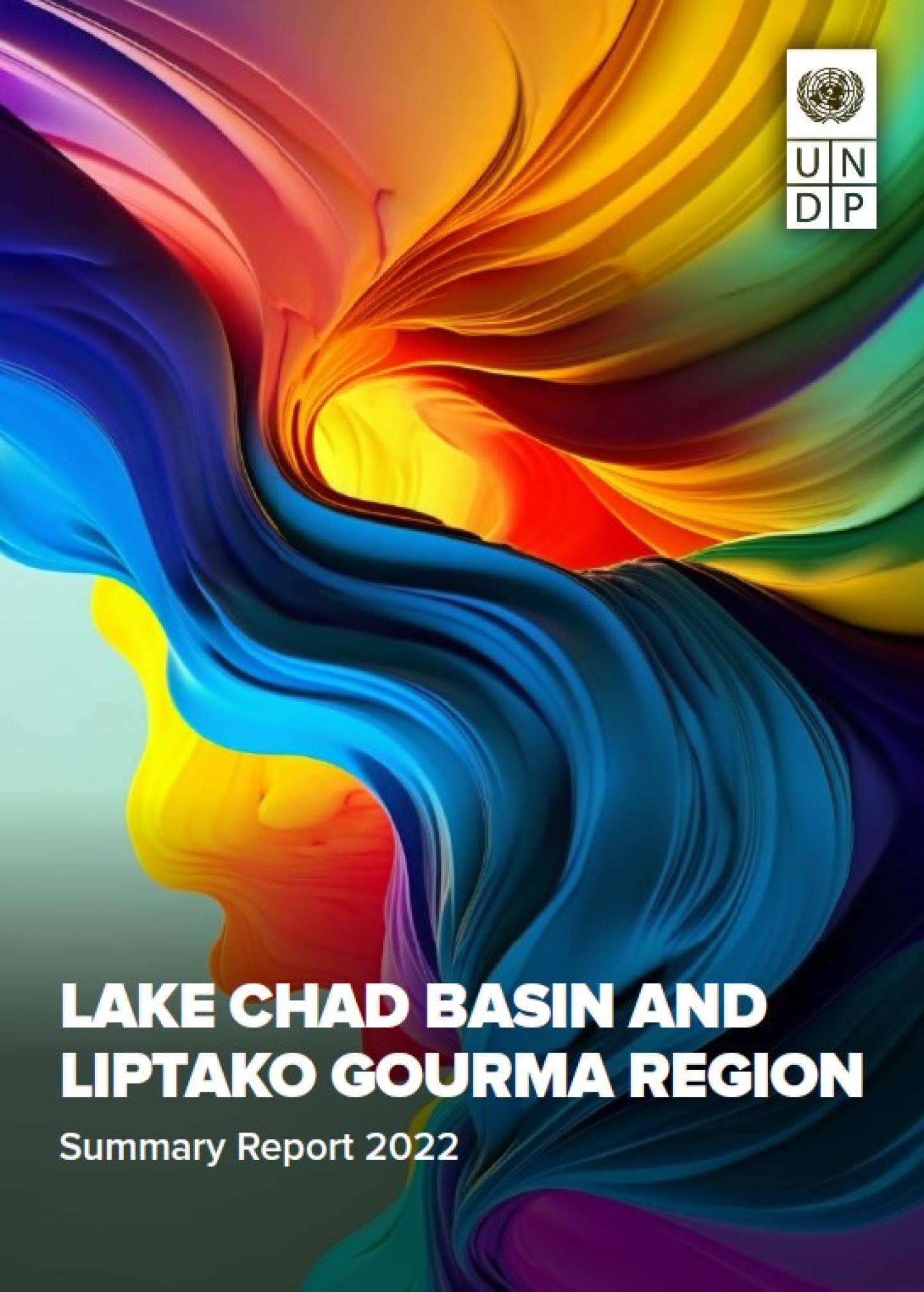 Lake Chad Basin and Liptako-Gourma Region - Summary Report 2022 ...