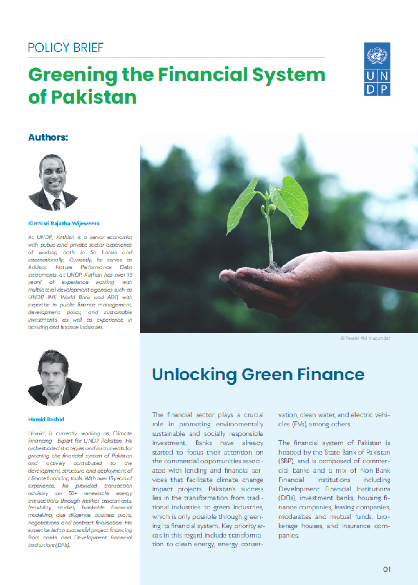 Greening the Financial System of Pakistan | United Nations Development ...