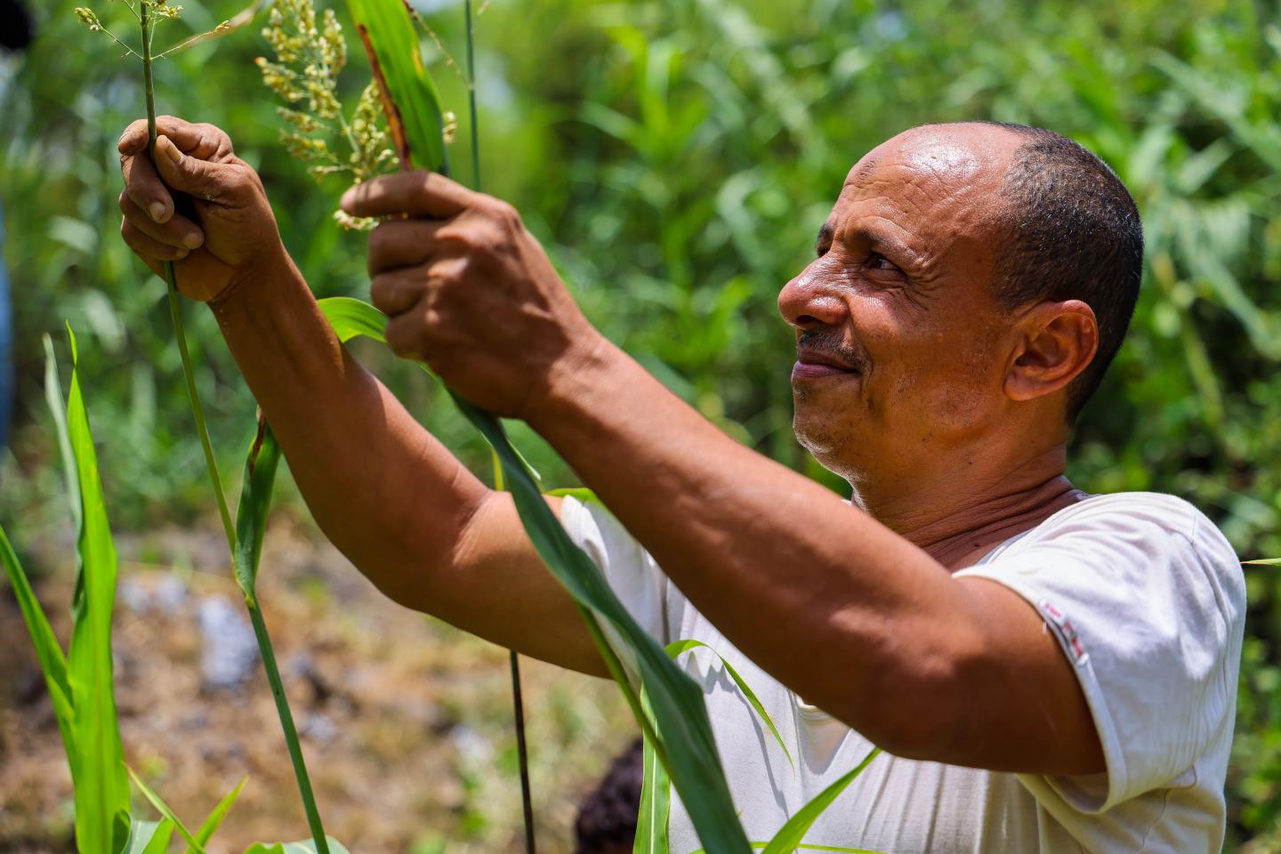 September 2023 Fact Sheet - Yemen Food Security Response and Resilience ...