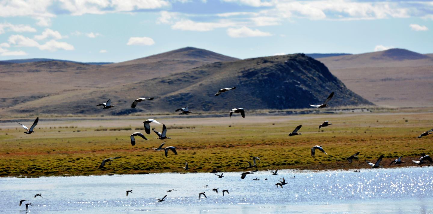 Global Biodiversity Framework-Early Action Support project | United ...