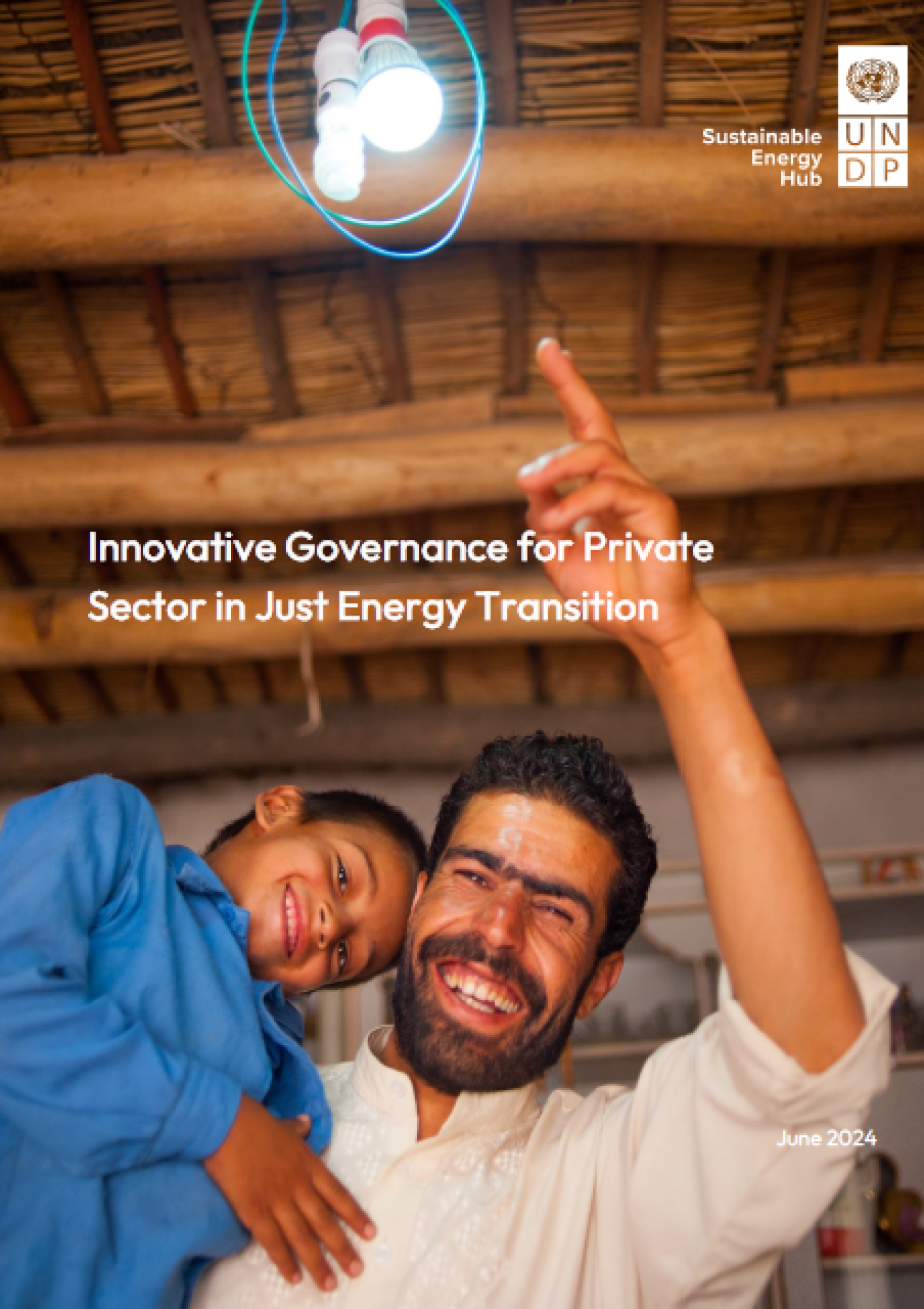 Innovative Governance for Private Sector in Just Energy Transition ...