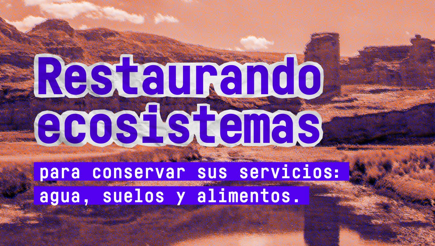 Restaurando ecosistemas para conservar sus servicios: agua, suelos y ...