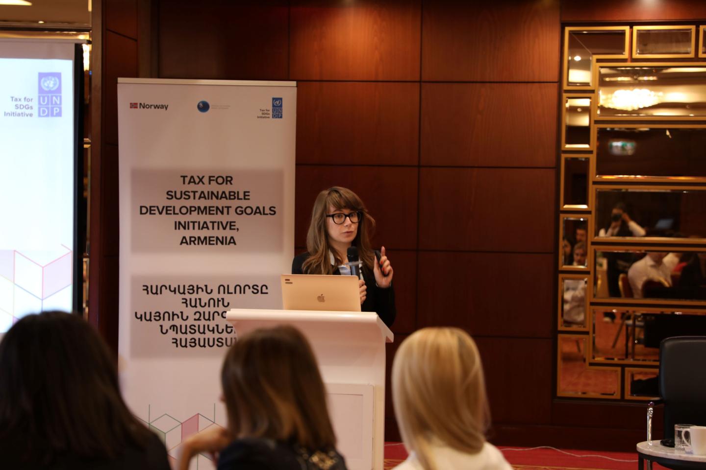 Taxation for Sustainable Development: Highlights from the UNDP Workshop ...