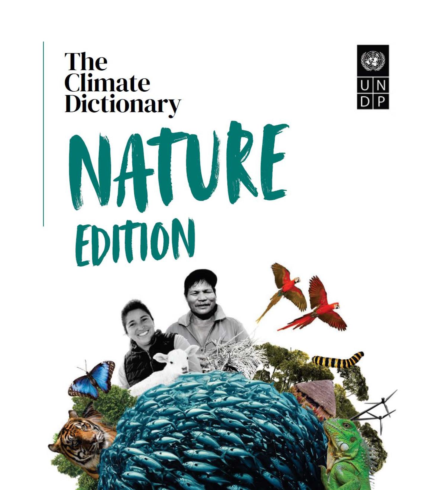 The Climate Dictionary: Nature Edition | United Nations Development Programme