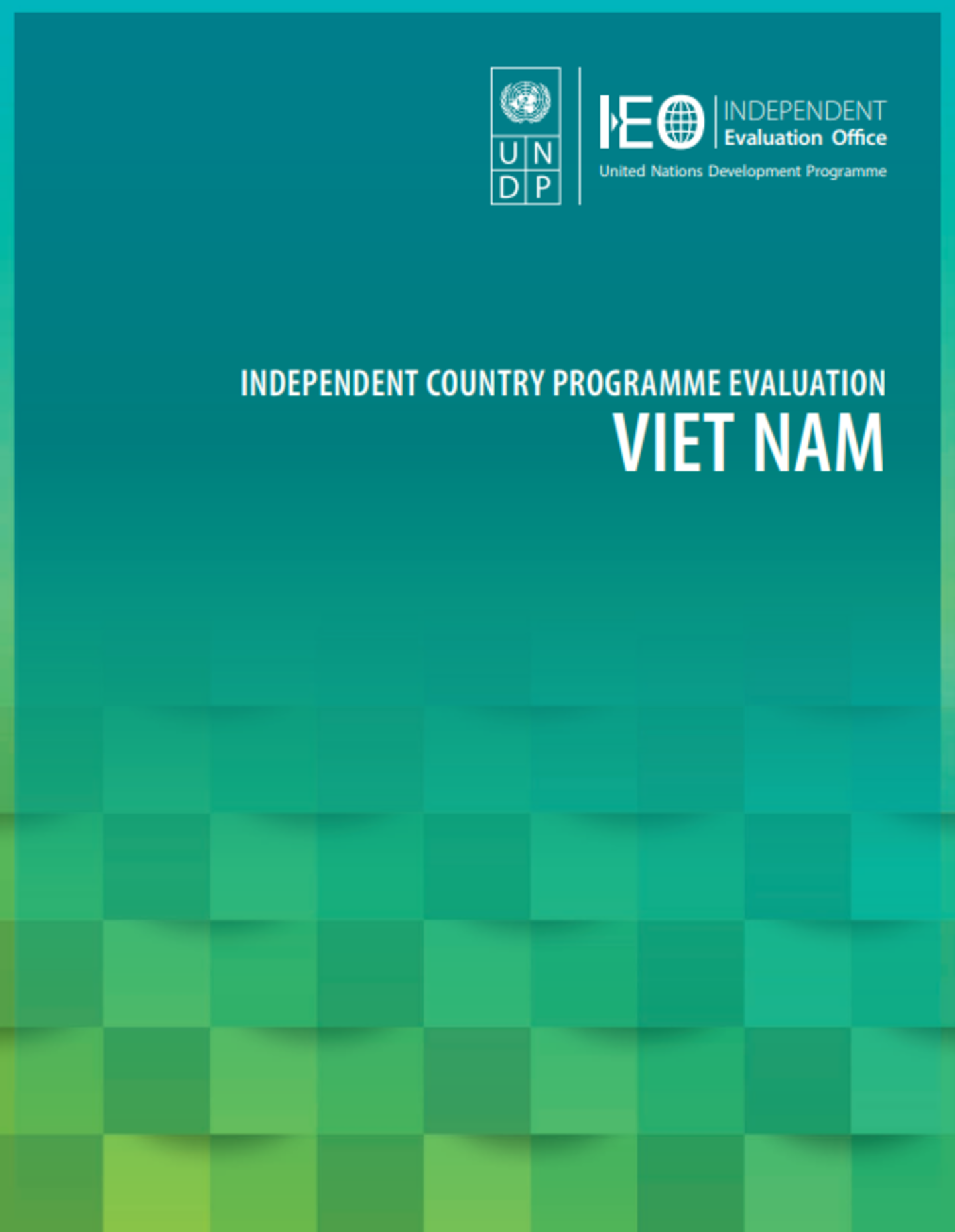 Independent Country Programme Evaluation: Vietnam | United Nations ...