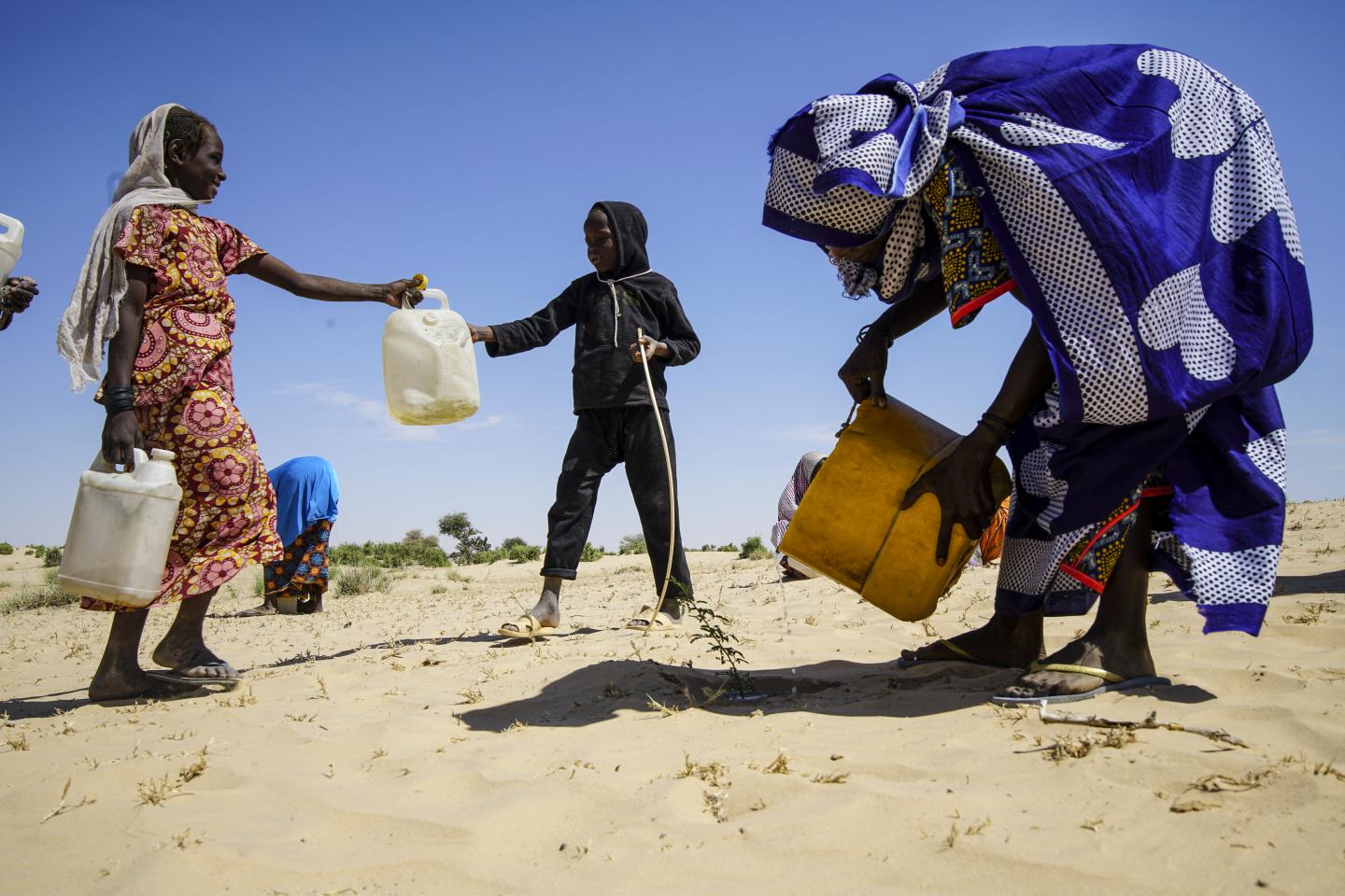 Fostering sustainable development across Lake Chad Basin | United ...