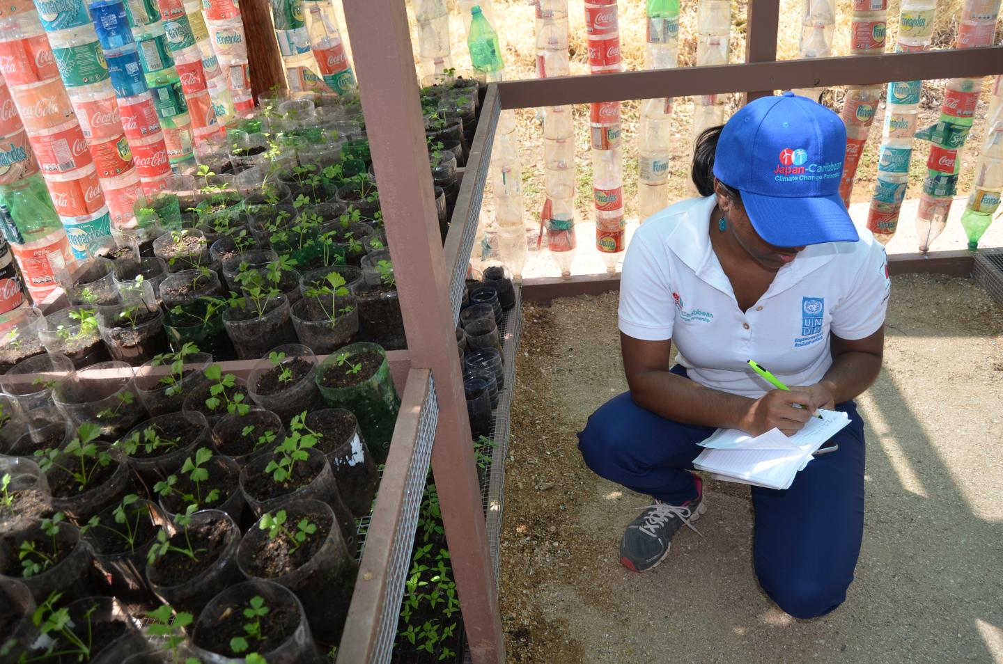 Regional Project Exceeds Expected Climate Action Results | United ...