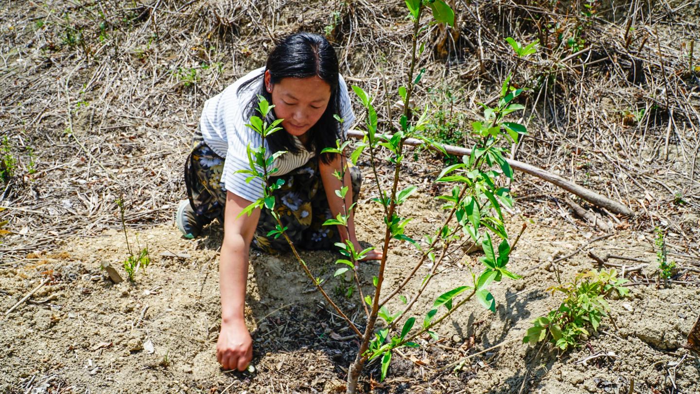 A tour guide turns farmer | United Nations Development Programme