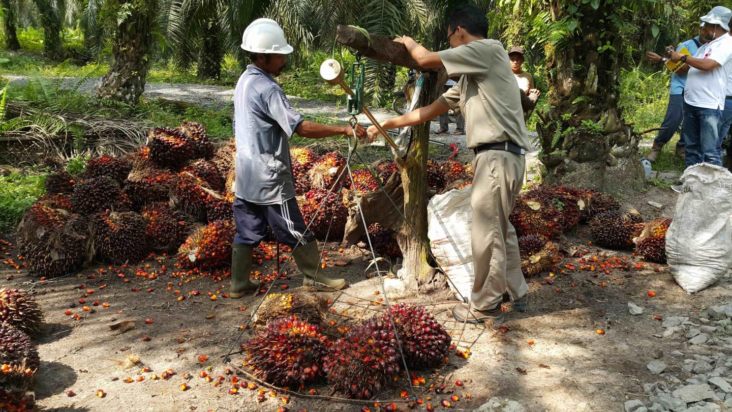 FoKSBI Technical Inter-Ministerial Taskforce Agrees to Improve ...