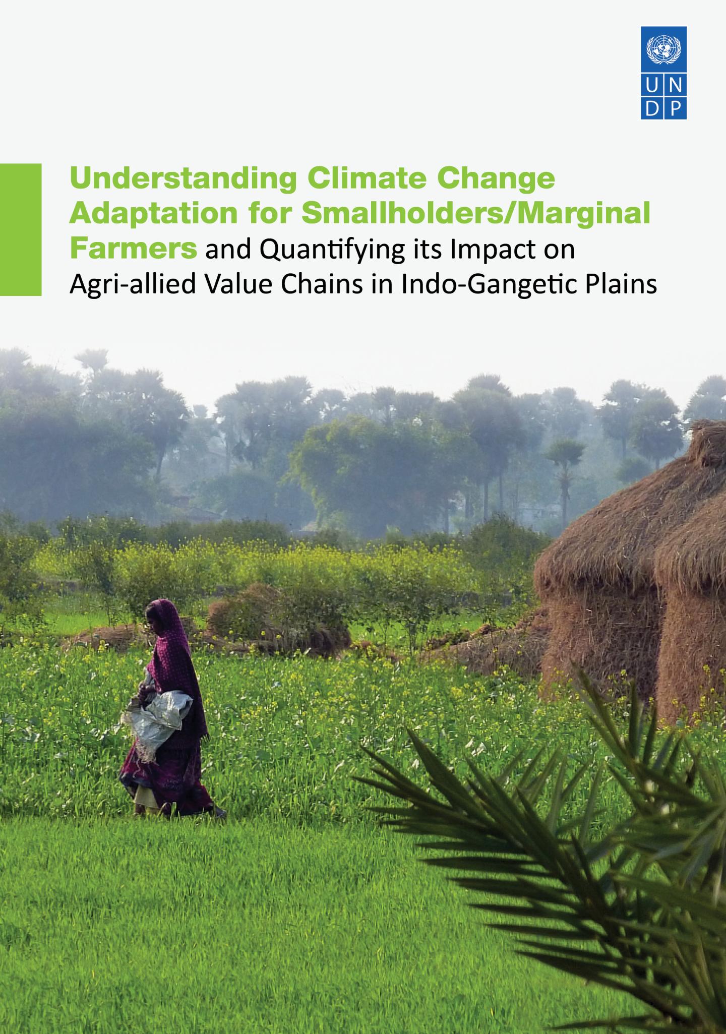 Climate Change Adaptation for Marginal Farmers in Agri Value Chains ...