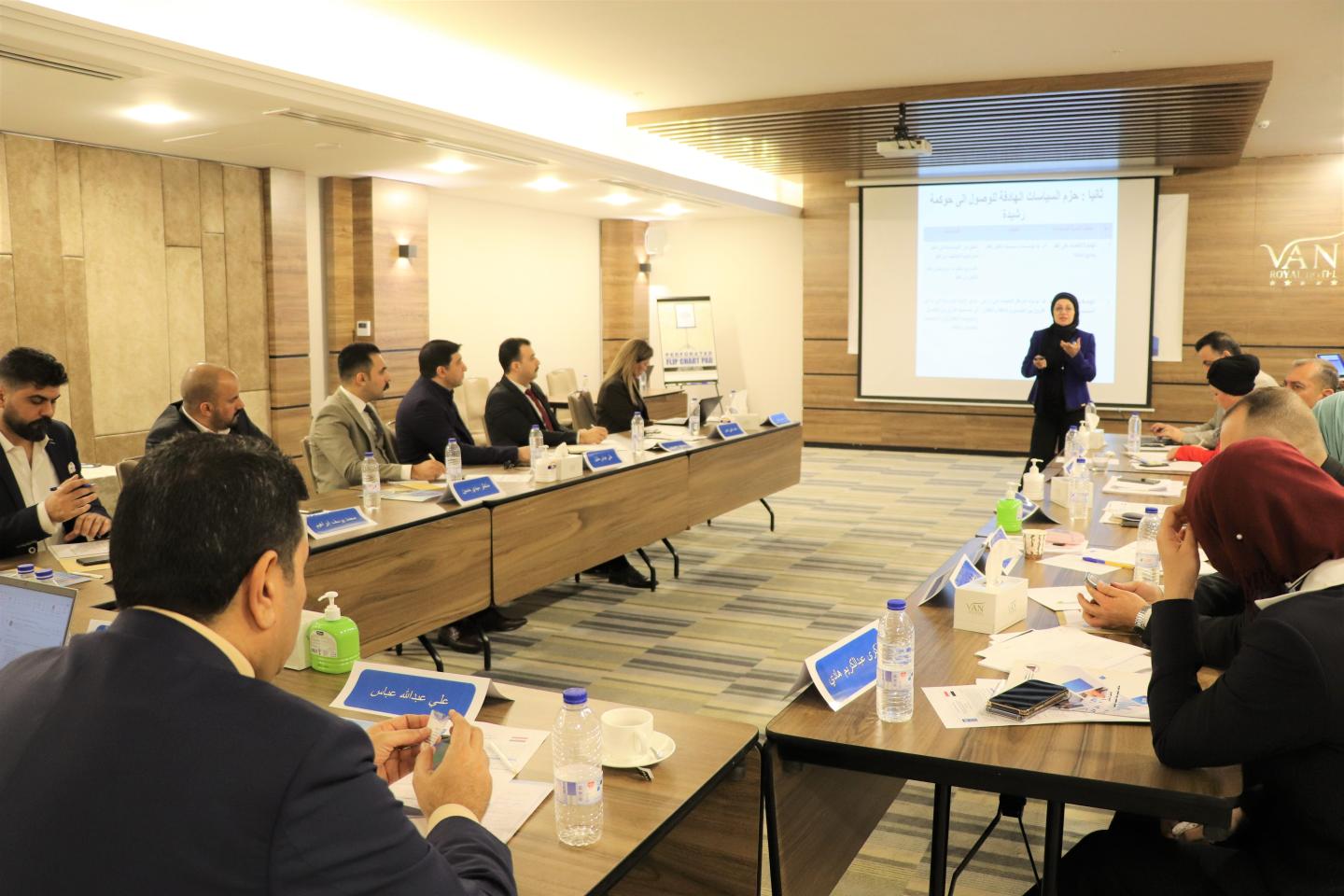 UNDP Iraq strengthening national and subnational capacities on action ...