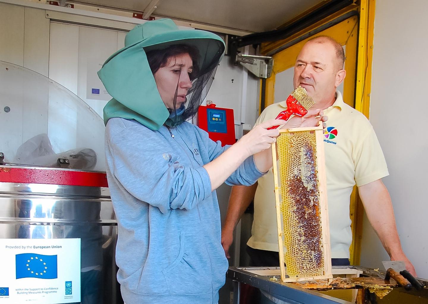 Science of beekeeping, mastered by a woman from Sipka village | United ...