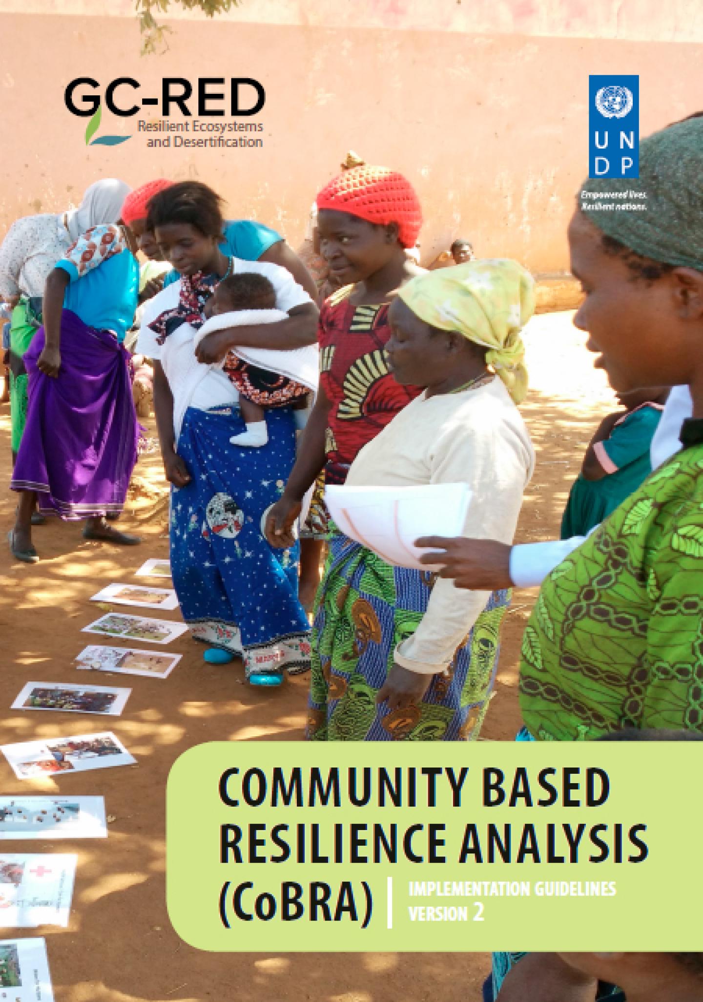 CoBRA Implementation Guidelines | United Nations Development Programme