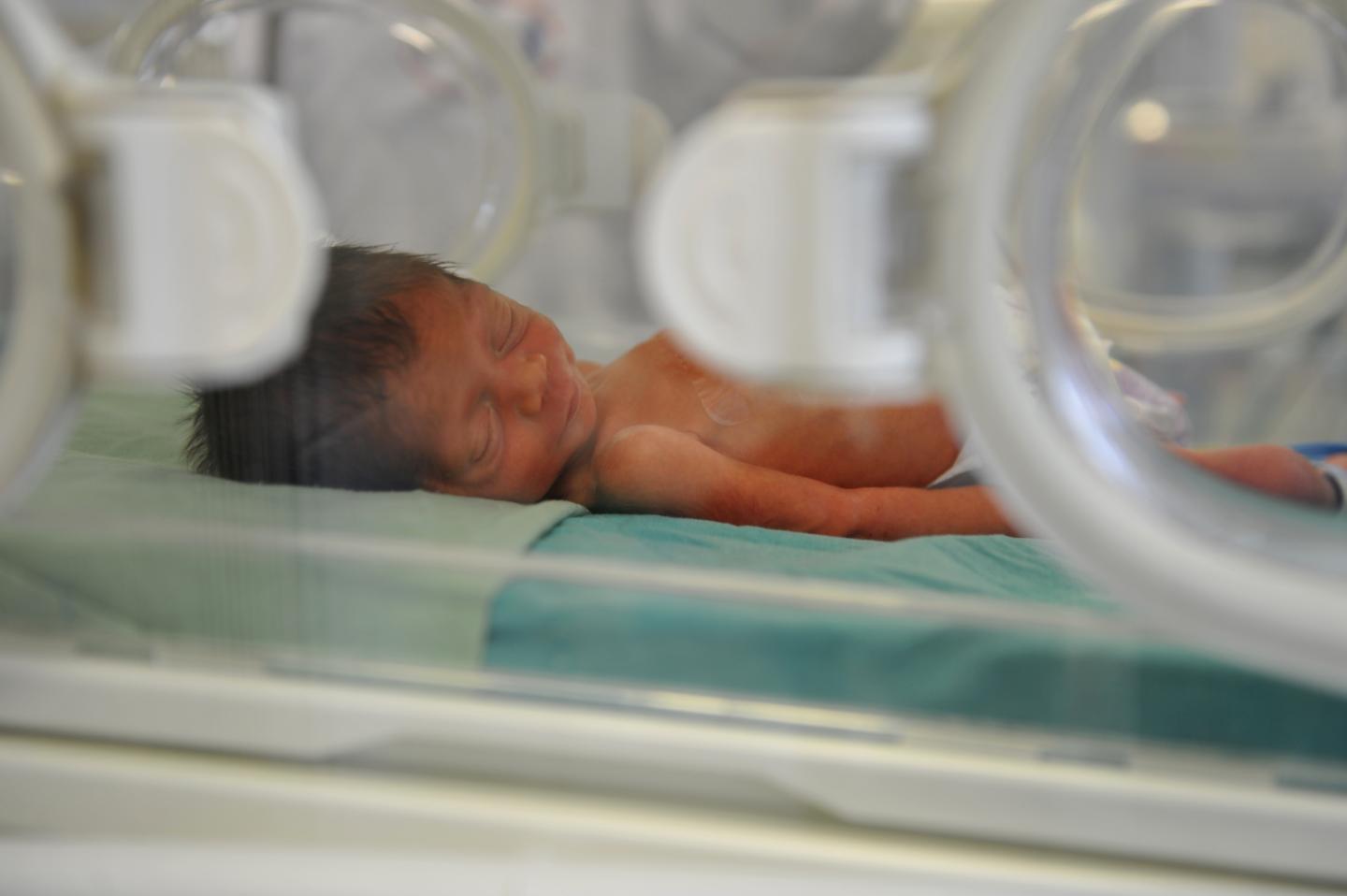 Ministry of Interior Launches Digital Birth and Death Registration ...