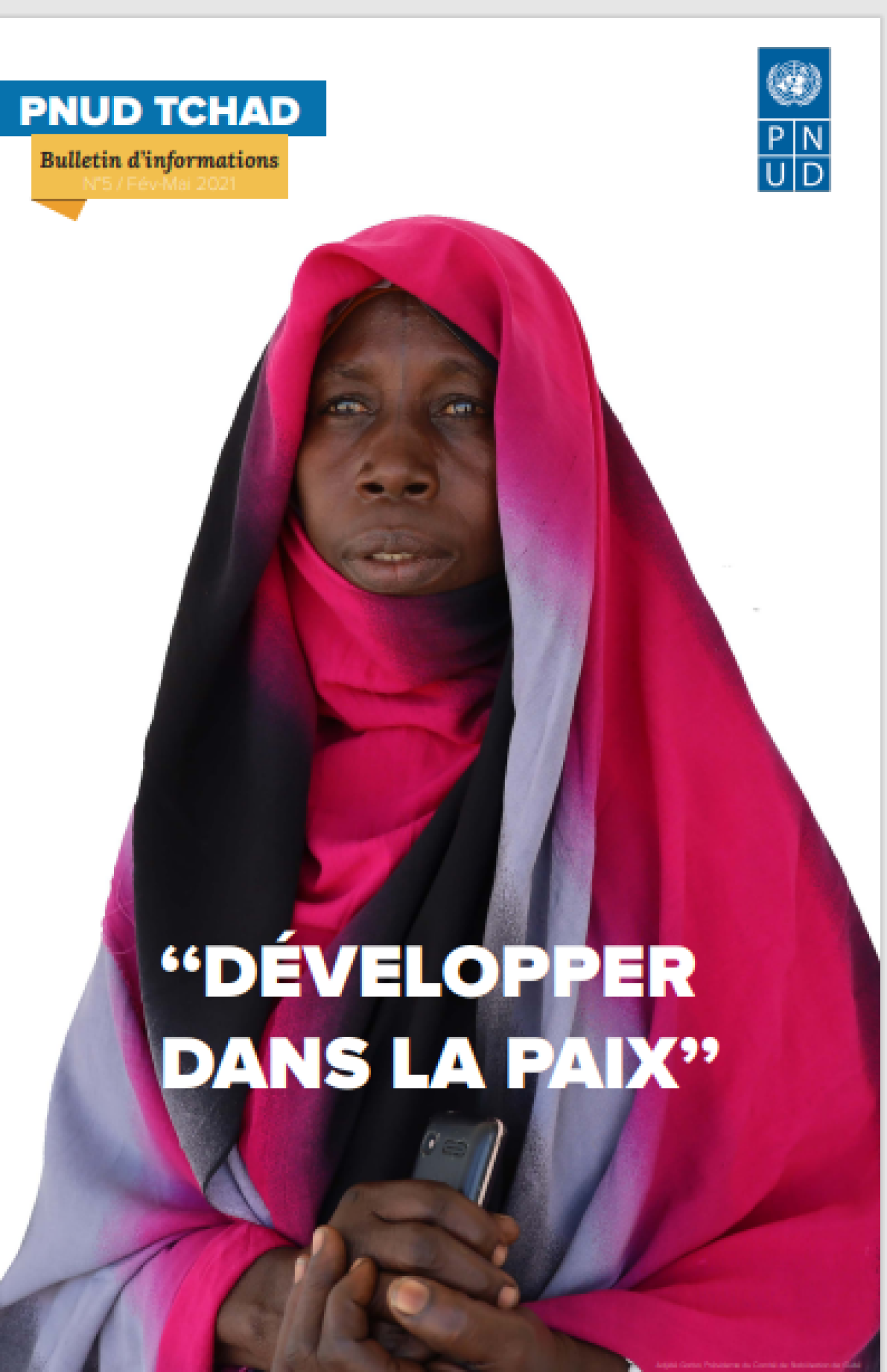 Bulletin récapitulatif des activités du PNUD Chad 2020 | Programme De ...