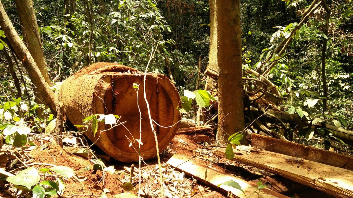 Accelerator Lab Uganda renews debate to save Uganda’s disappearing ...