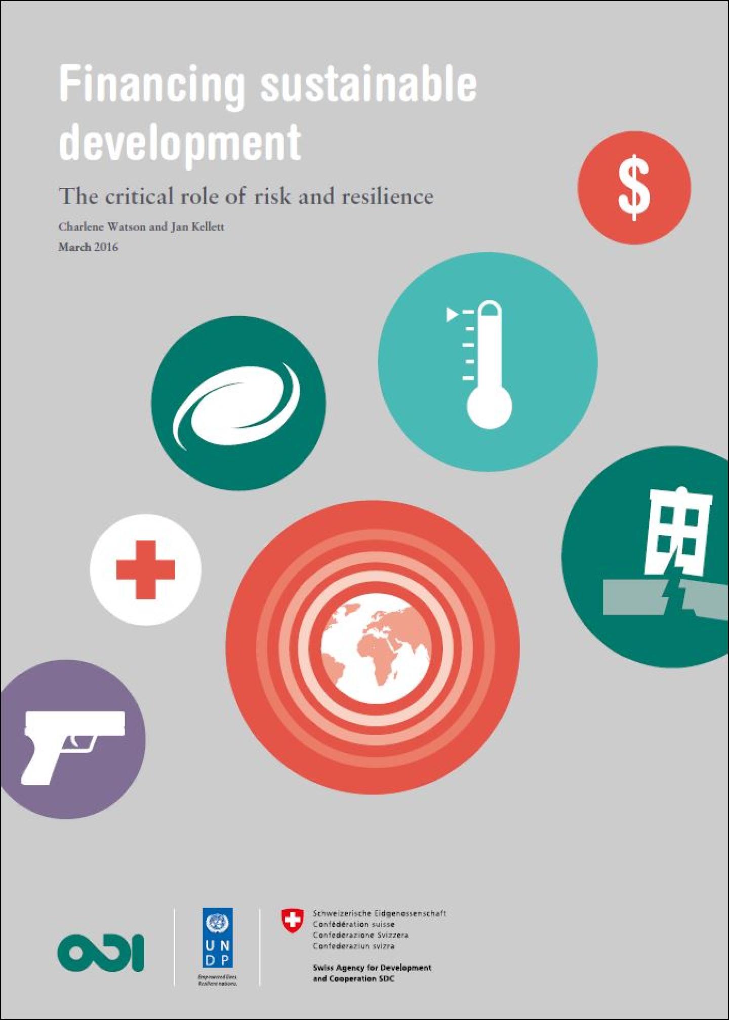 Financing sustainable development: The critical role of risk and ...