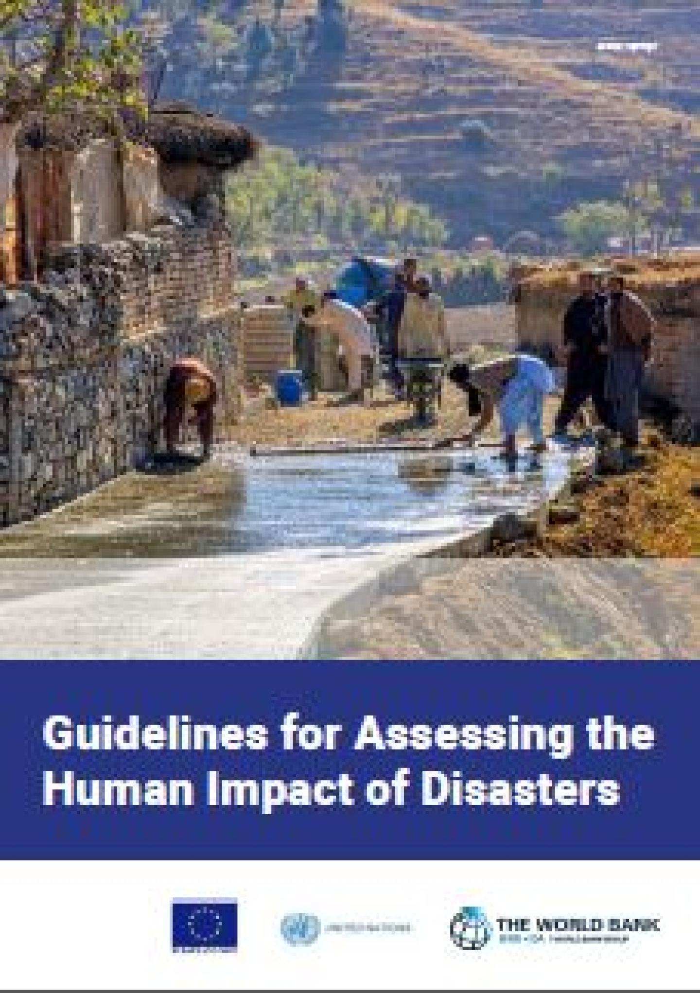 Guidelines for Assessing the Human Impact of Disasters | United Nations ...